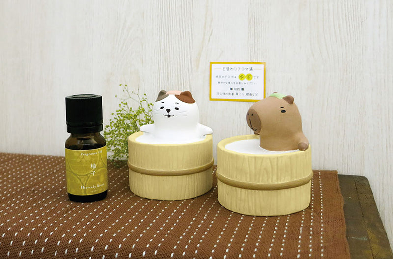 Decole Lifestyle – Ceralife